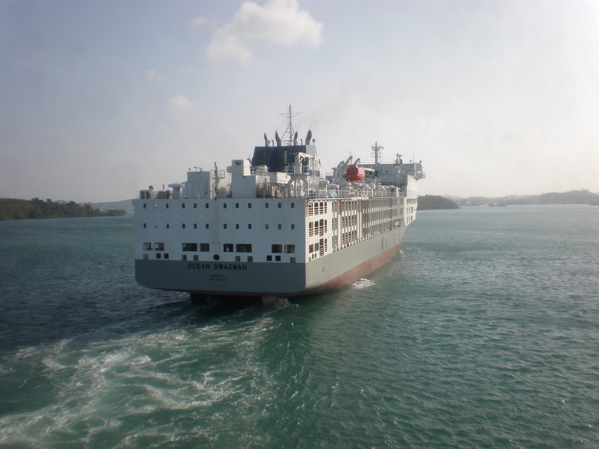 Design of livestock carrier - New building